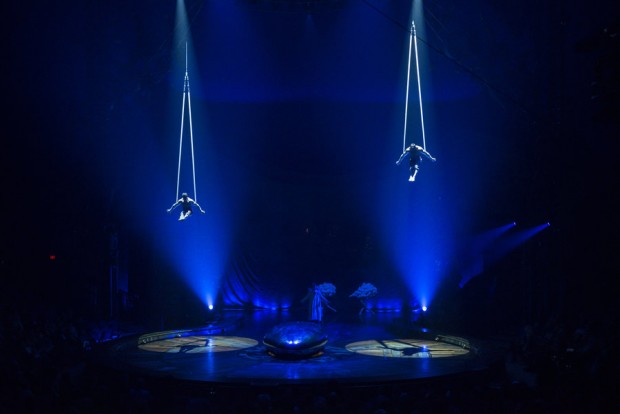 Cabinet of Curiosities: Cirque du Soleil's KURIOS - The Curious Creature
