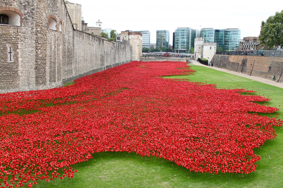 Tower of London Remembers - The Curious Creature