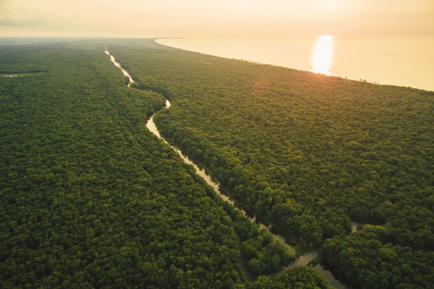 7 Ontario Parks To Visit This Summer - The Curious Creature