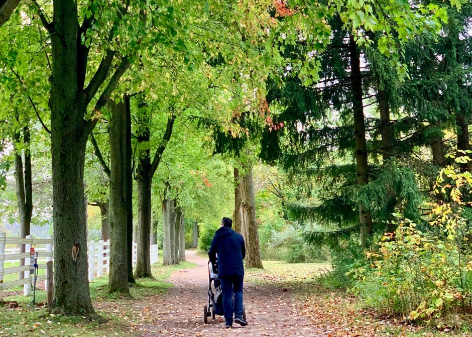 5 Things To Do This Fall In Milton, Ontario - The Curious Creature