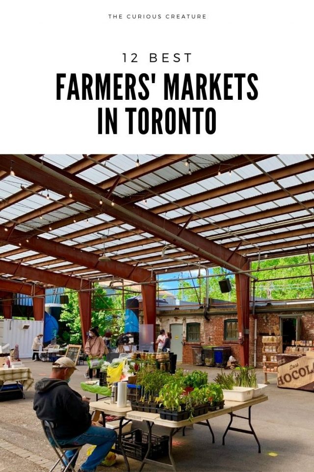 12 Best Farmers’ Markets In Toronto - The Curious Creature